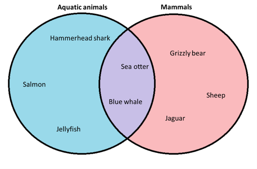 Dual Coding: How to Maximise Learning with Non-Verbal Information
