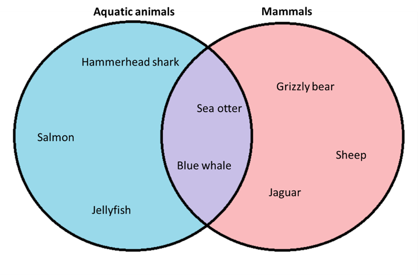 Dual Coding: How to Maximise Learning with Non-Verbal Information